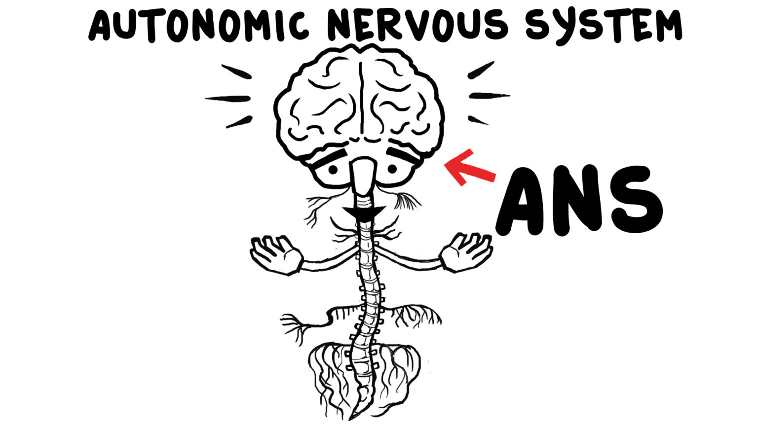 The Trauma Foundation Animated Video – Nick Navatta